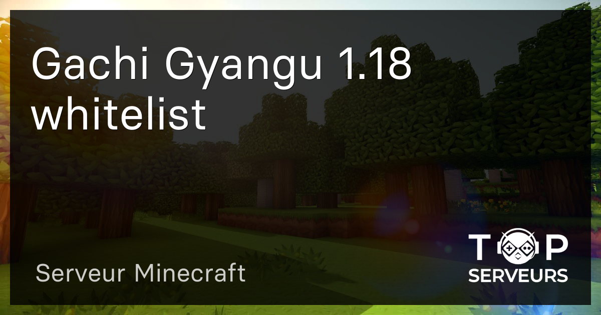 Gachi Gyangu 1.18 whitelist - Serveur Minecraft