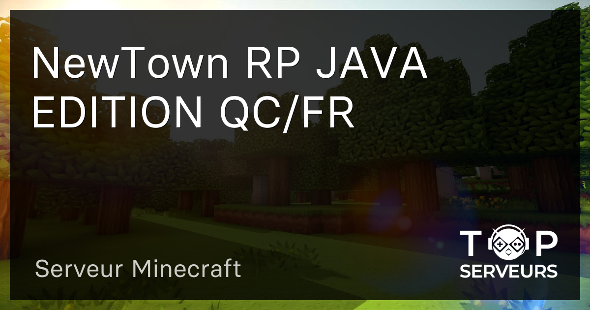 NewTown RP JAVA EDITION QC/FR - Serveur Minecraft