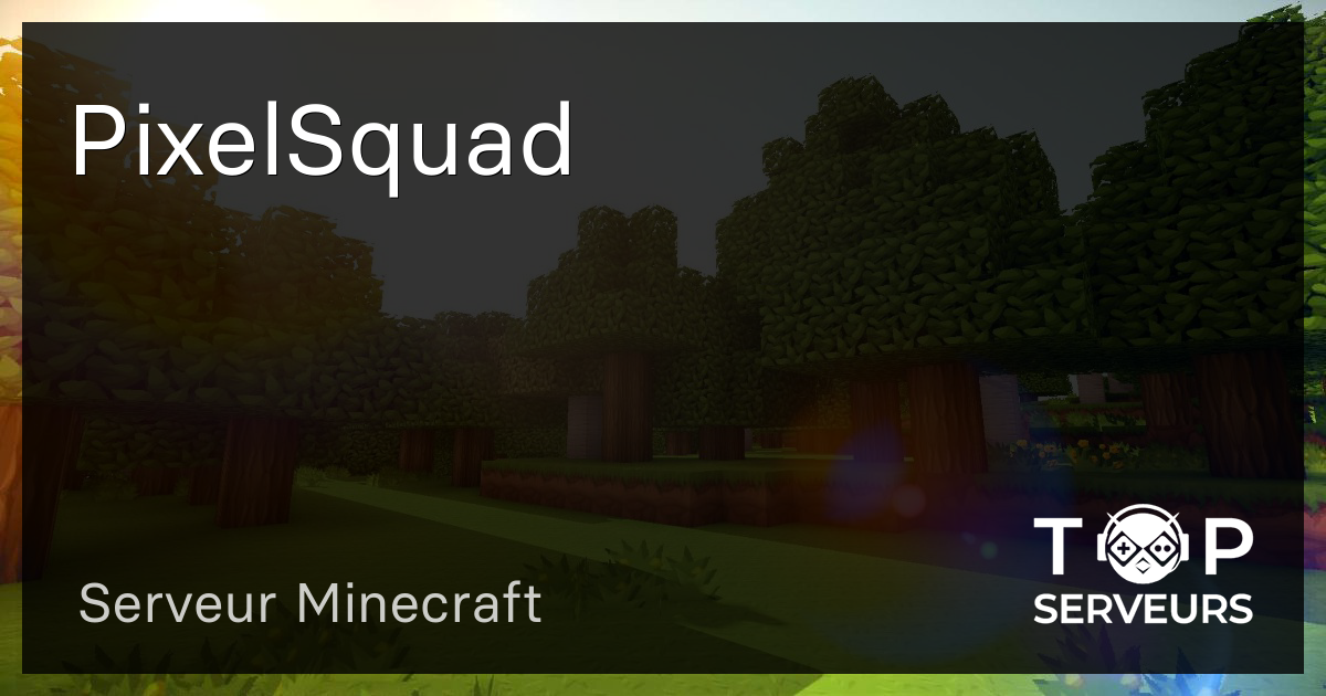 PixelSquad - Serveur Minecraft